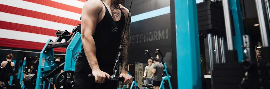 posterior triceps workout